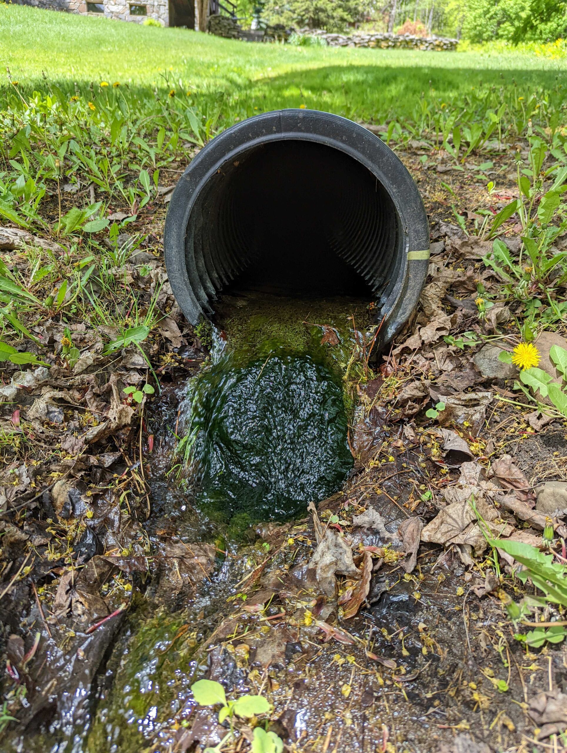 Culvert Care Made Easy: Your Guide to Protecting Our Lakes | NH LAKES