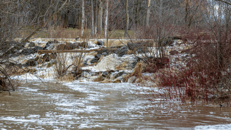 Polluted Runoff Water | NH LAKES